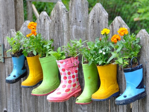 Turn old wellies into planters