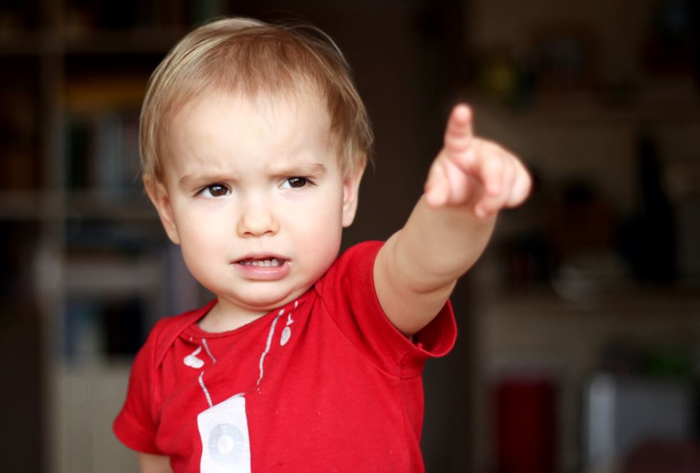 'No, don't want to' 14 signs your toddler is the BOSS of the...