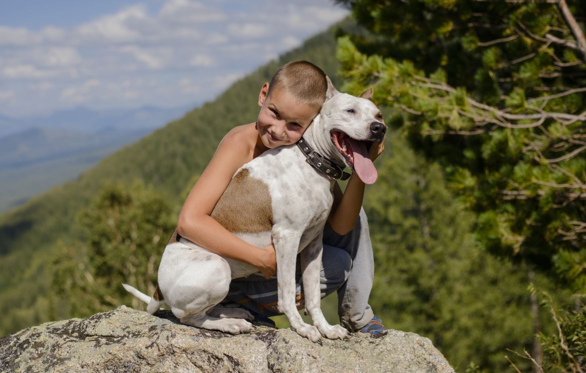 'He’s Fallon’s best friend': Adopted dog saves six-year-old...